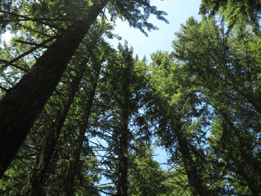 Disclosures | McCormick & Company