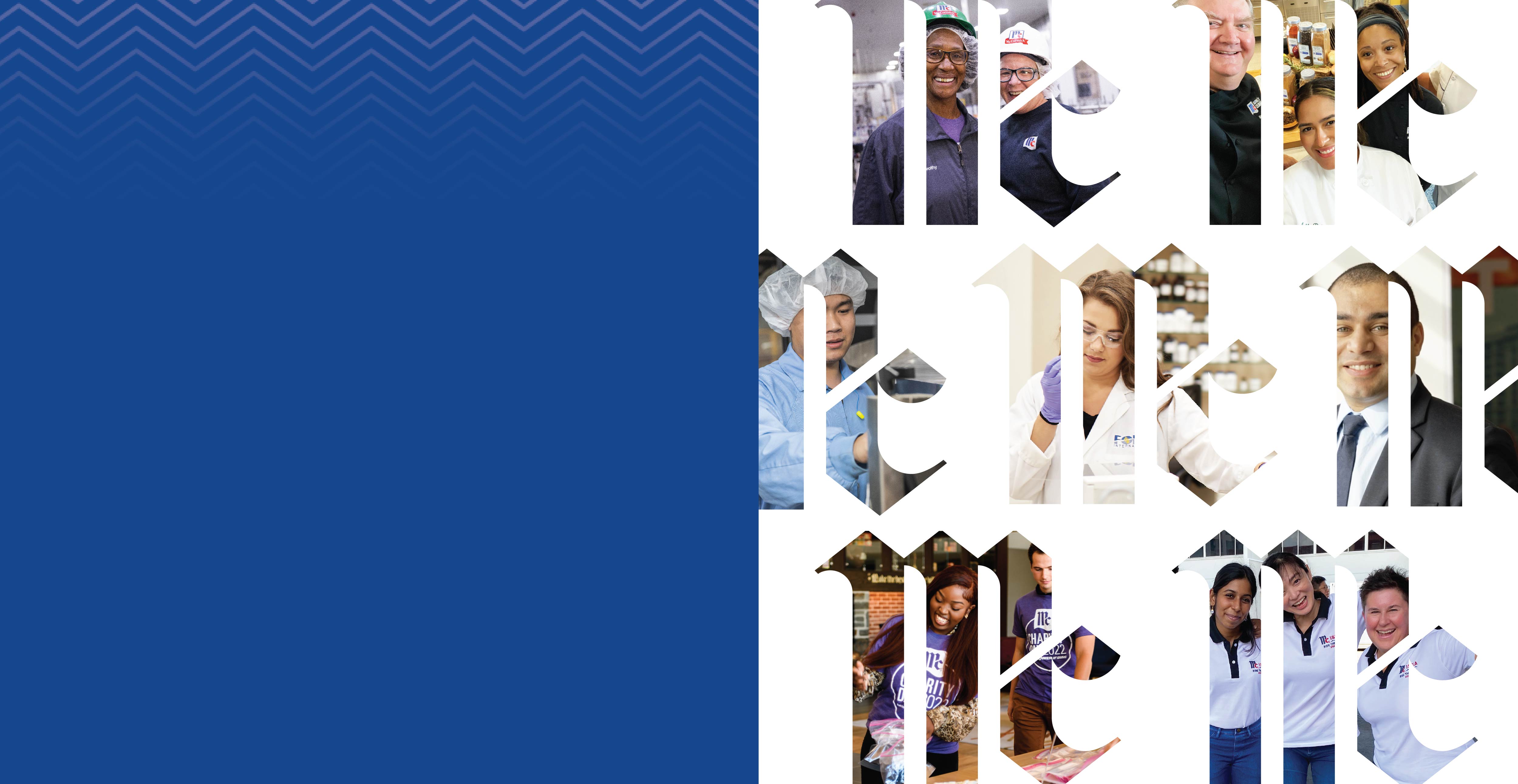 McCormick & Company, Foods, Ingredients and Flavors