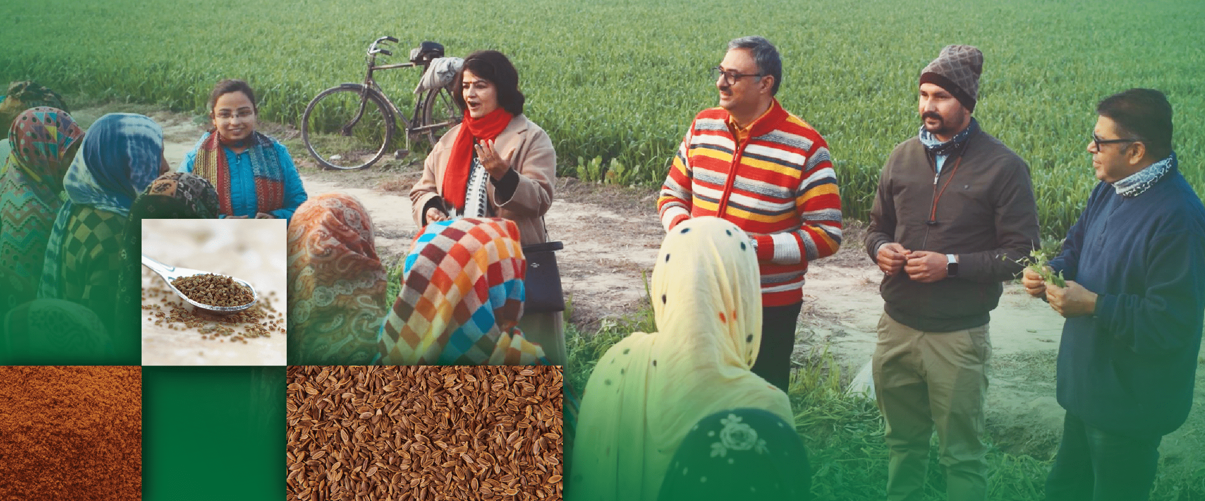 Expanding our Support for Sustainable Spices in India | Purpose-Led ...