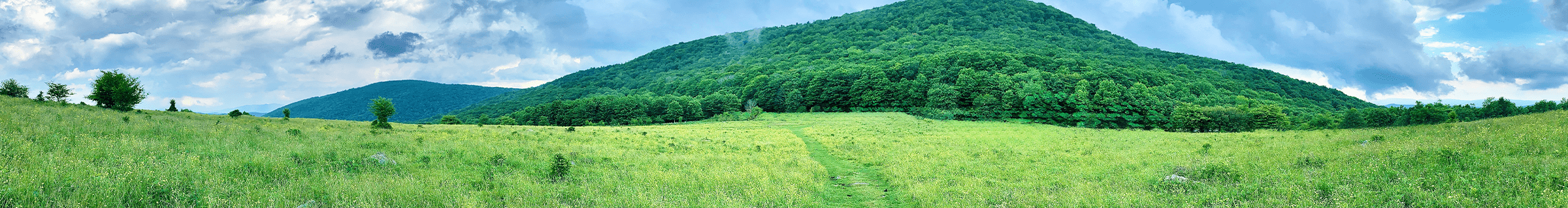 Decarbonizing Our Operations | McCormick & Company