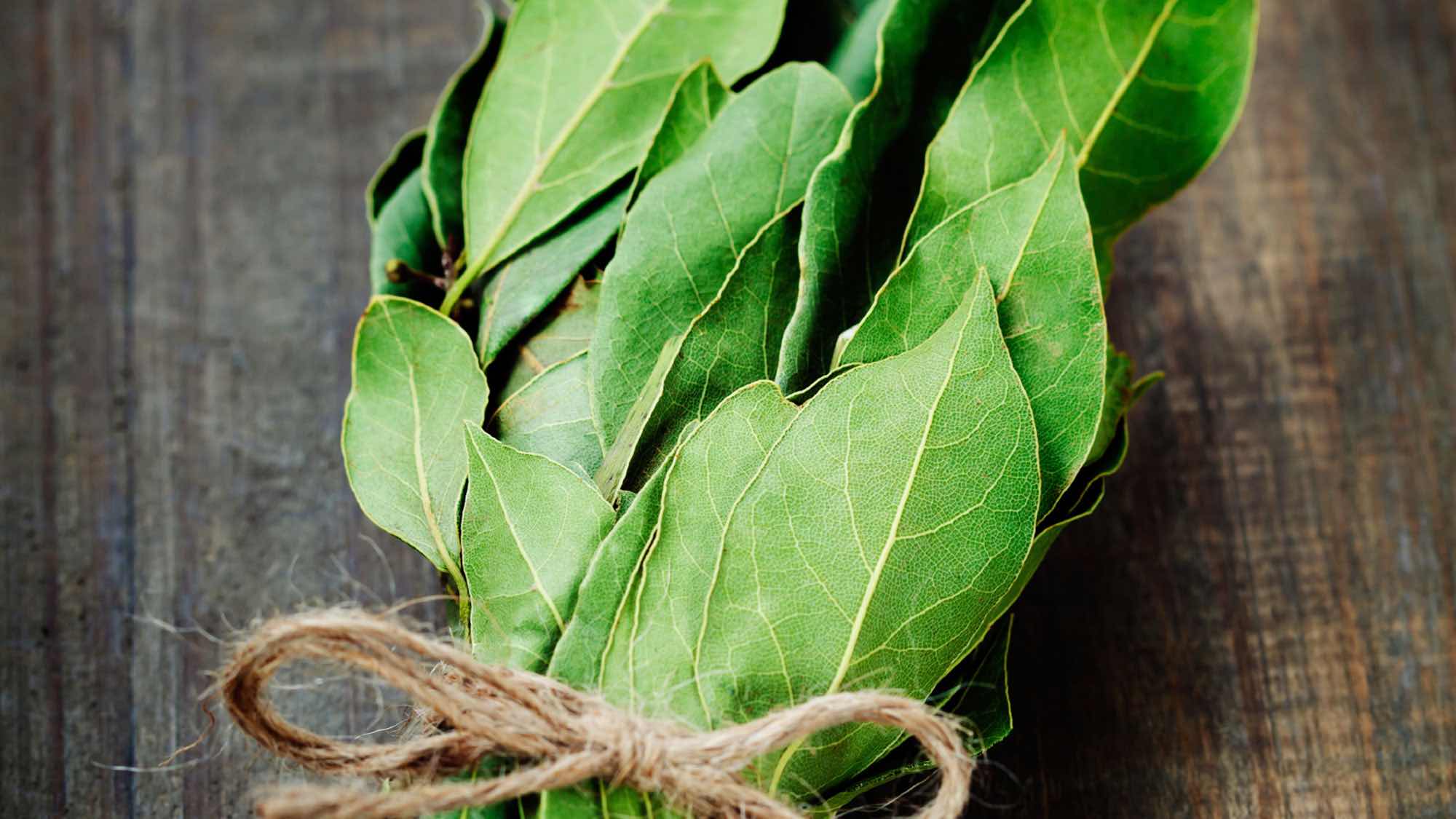 Feuilles de laurier | Origine | McCormick