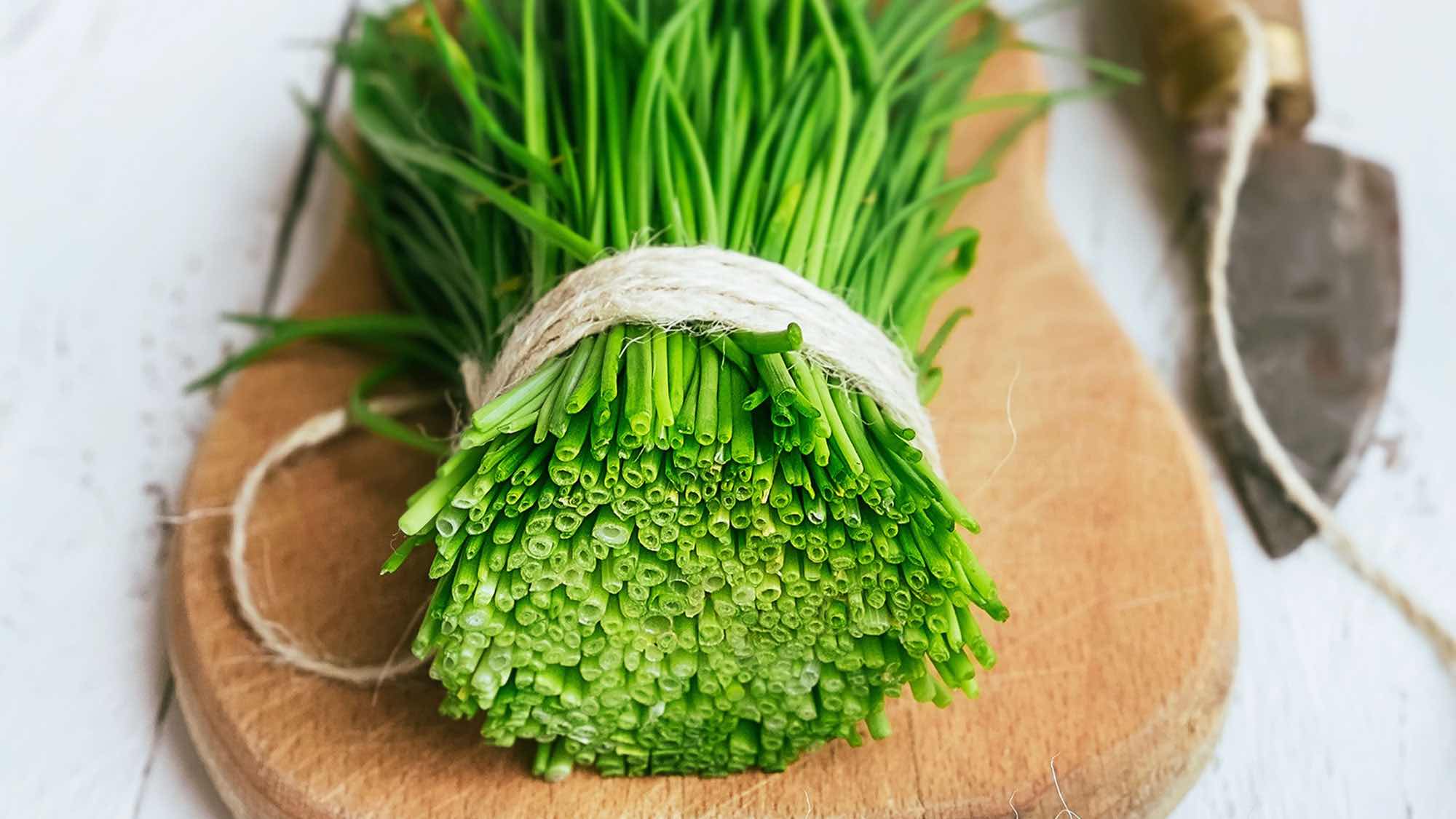 Ciboulette | Origine | McCormick