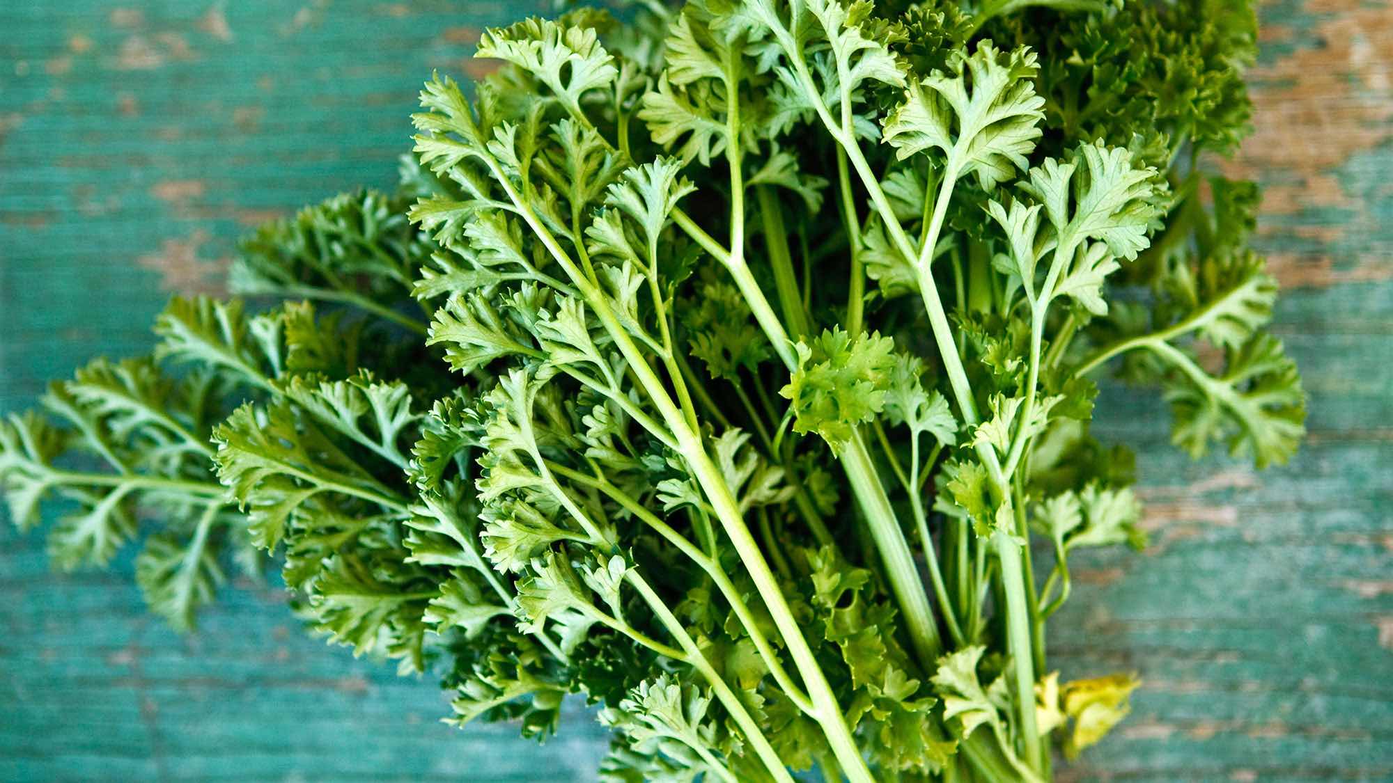 Persil | Origine | McCormick