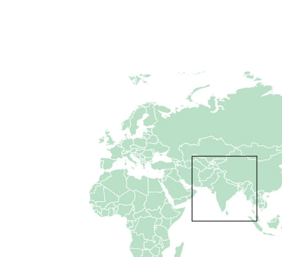 Pure Turmeric | McCormick For Chefs®