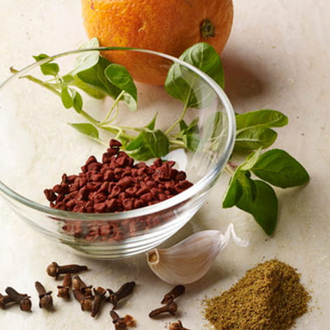 Yucatan Red Recado | McCormick For Chefs®