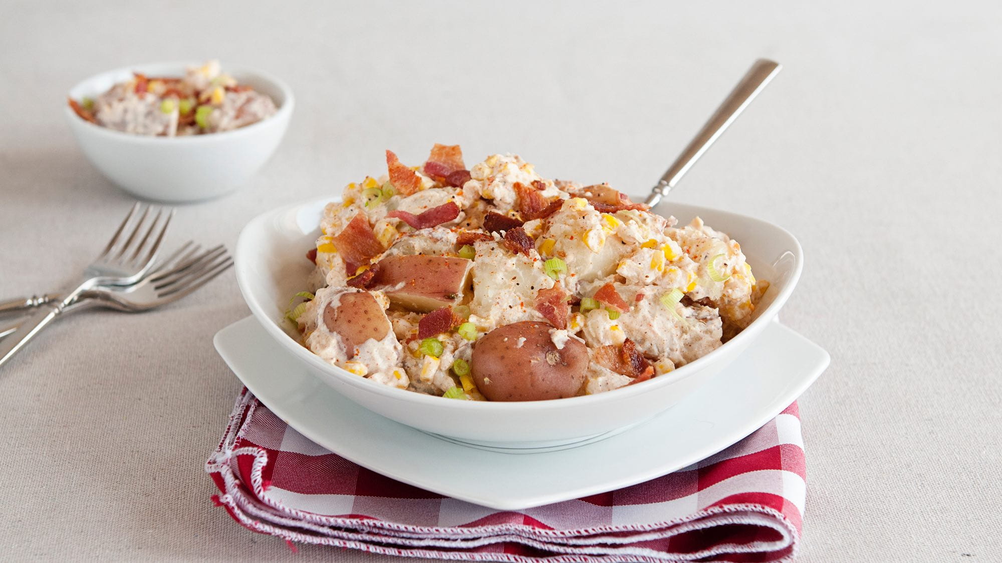 McCormick® Onion Powder | McCormickAsia.com