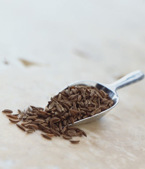 Carraway Seeds | McCormick Flavour Solutions