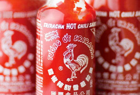 Rooster Sauce Lets Talk Sriracha
