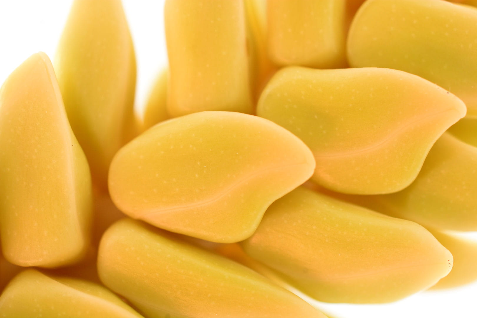 Flavor Insight: Coconut Blossom