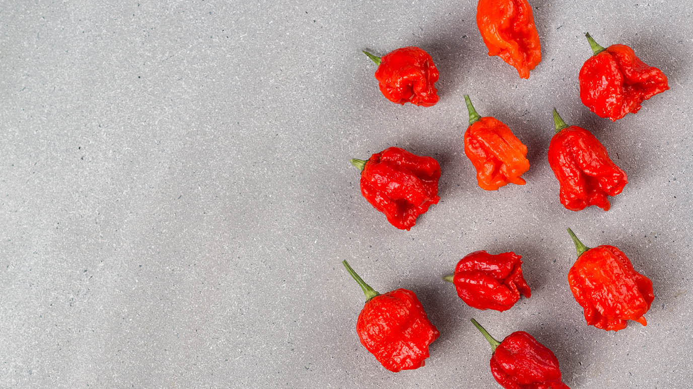 Flavor Spotlight : Carolina Reaper